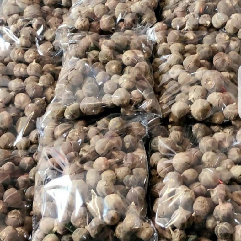 The Goron Tula craze: A purported aphrodisiac and wonder fruit ...