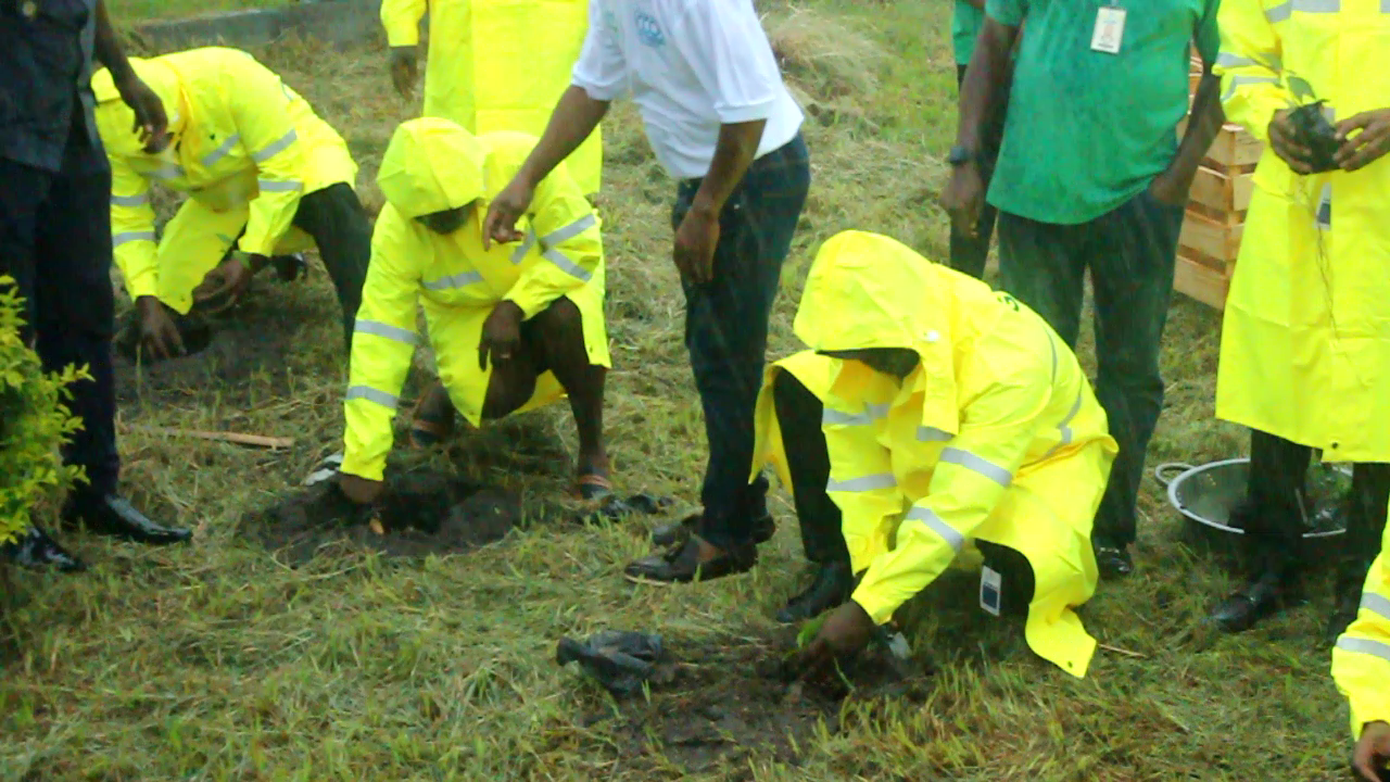 GPHA committed to green environment, to plant 1000 trees-DG ...